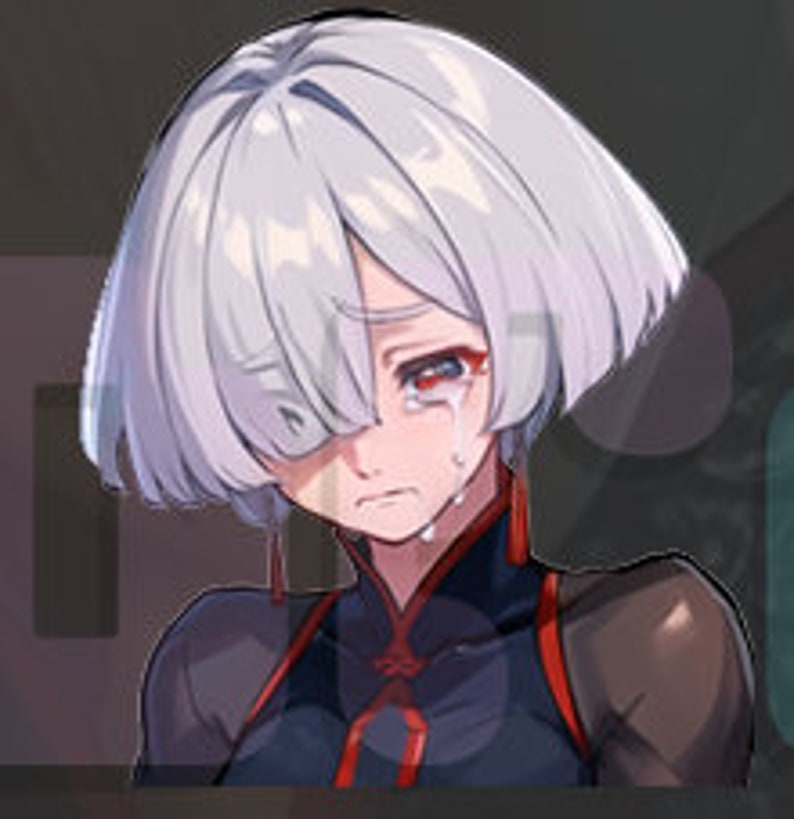 Aki SF6 Emote Sticker Pack: Chibi Video Game (digital Download) - Etsy