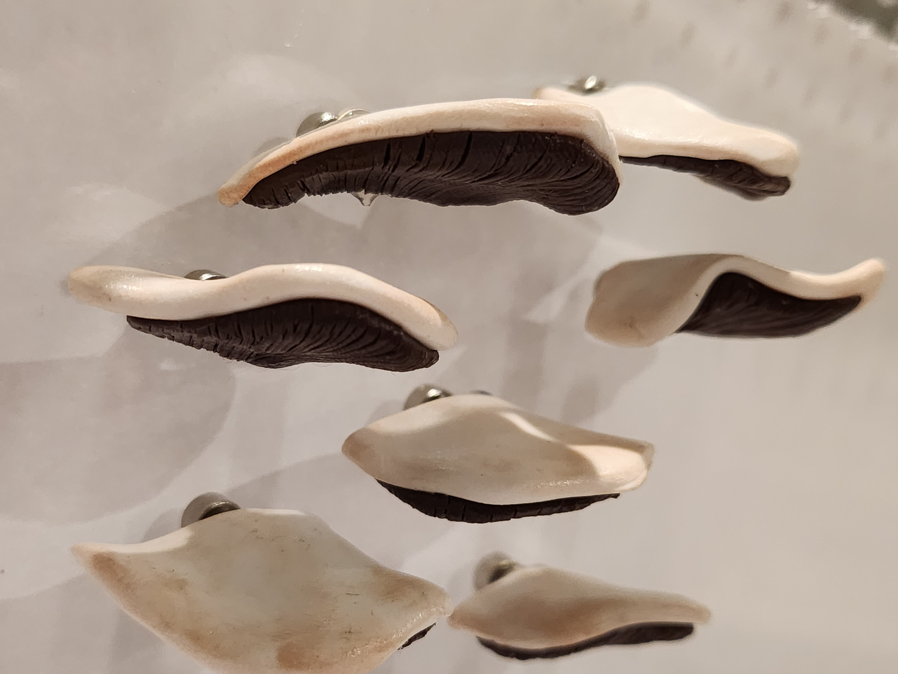 Polymere Clay Mushroom Ledges - Etsy