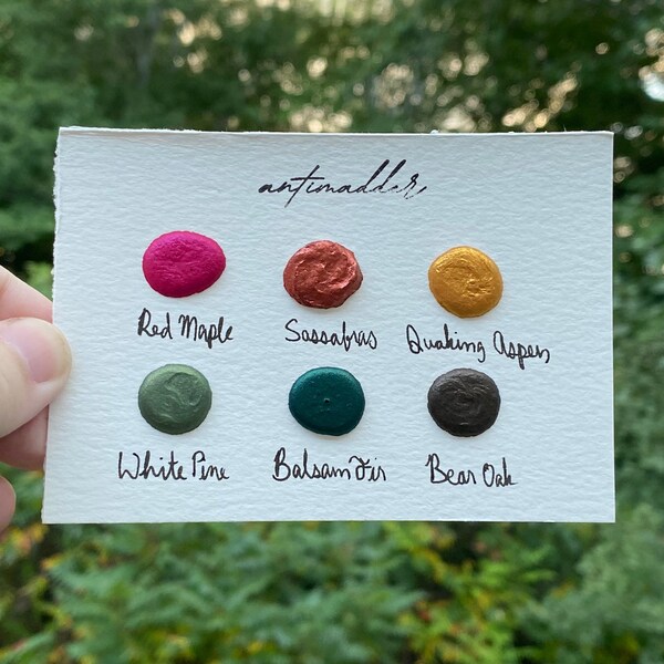 Sample Dot Card - Etsy