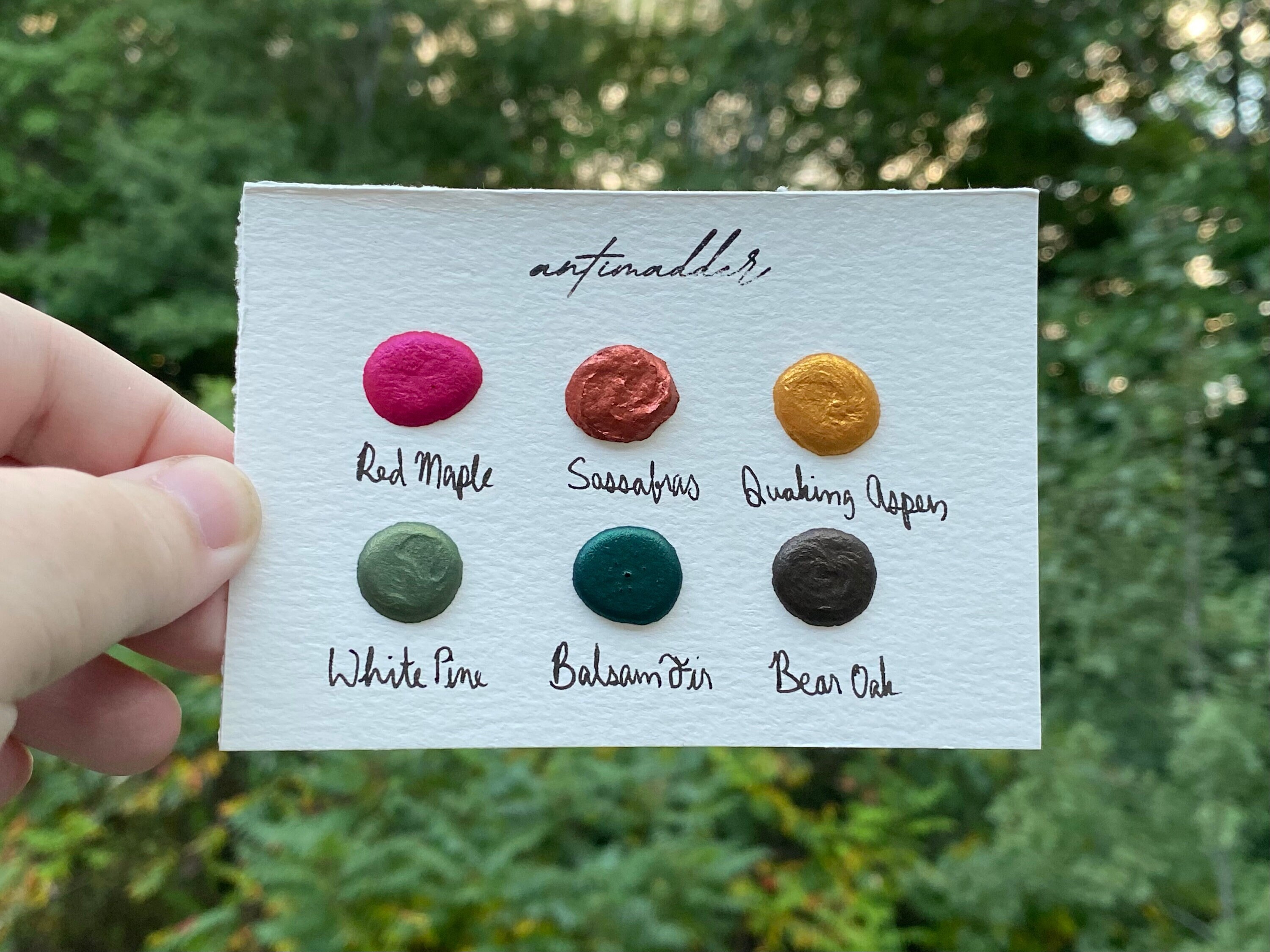 Leaf Season Dot Card Sample Palette Collection of 6 Handmade - Etsy