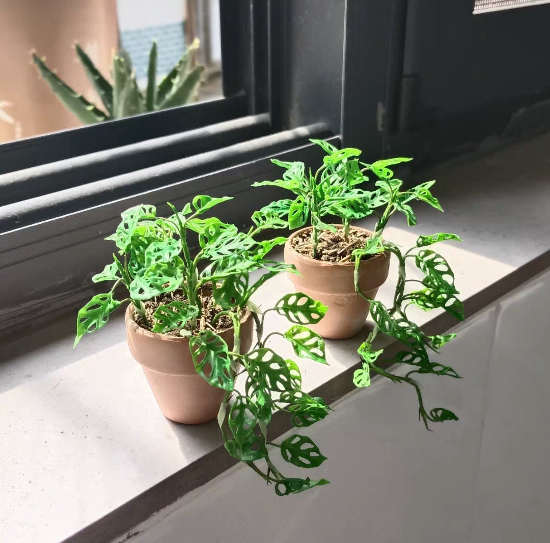 1/6 Scale Miniature Plant /clay Handmade Realistic Plant/dollhouse ...