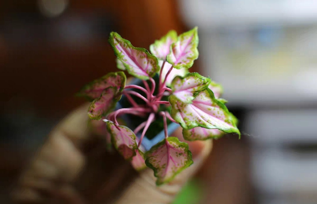 1/6 Scale Miniature Plant /clay Handmade Realistic Plant/dollhouse ...