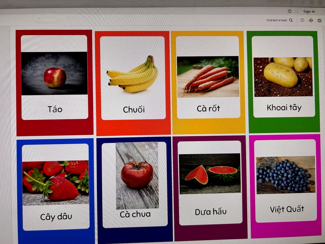 Vietnamese Fruits and Vegetables - Etsy