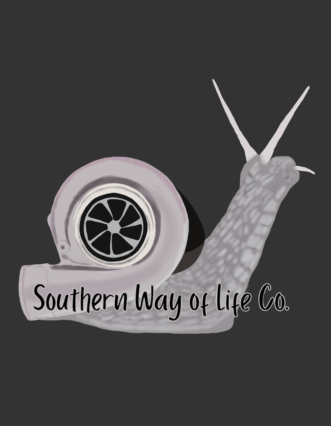 Turbo Snail | Turbo Art | Turbo Digital - Etsy