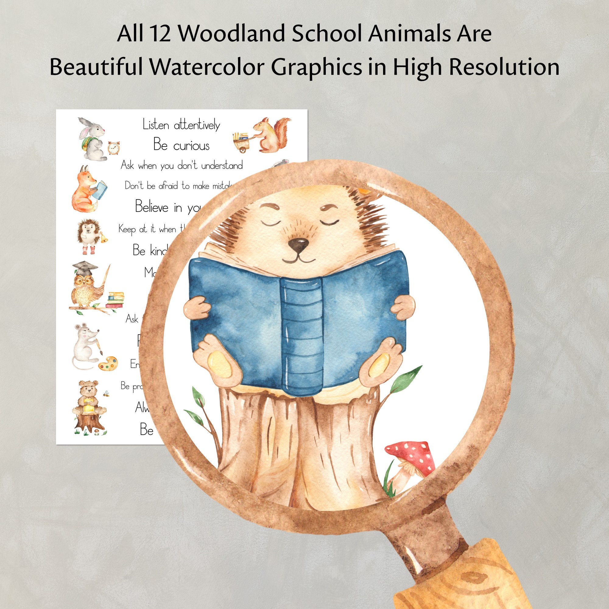 Elementary Classroom Rules Expectations Wall Art Poster - Etsy