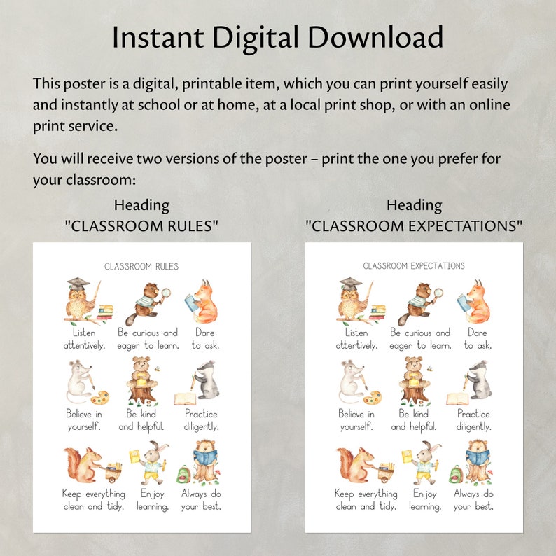 Elementary Classroom Rules Expectations Wall Art Poster, Woodland ...