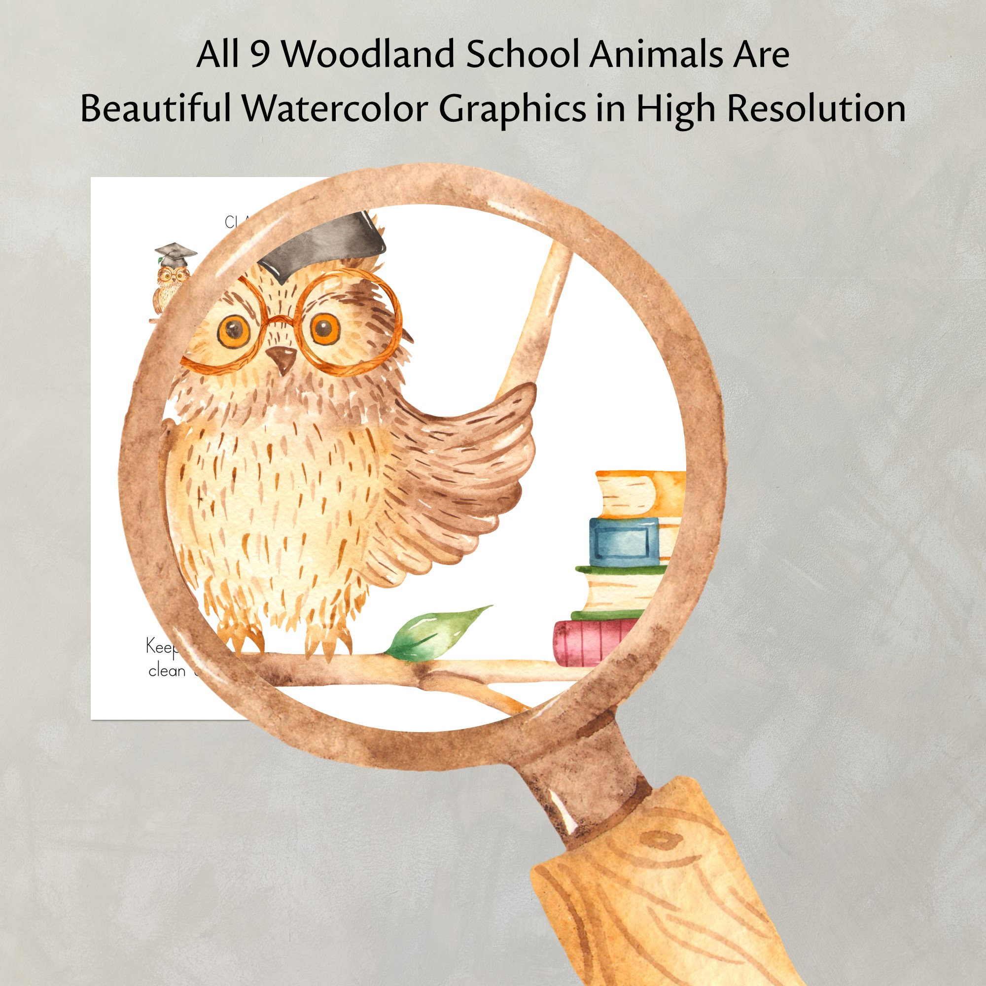 Elementary Classroom Rules Expectations Wall Art Poster, Woodland ...