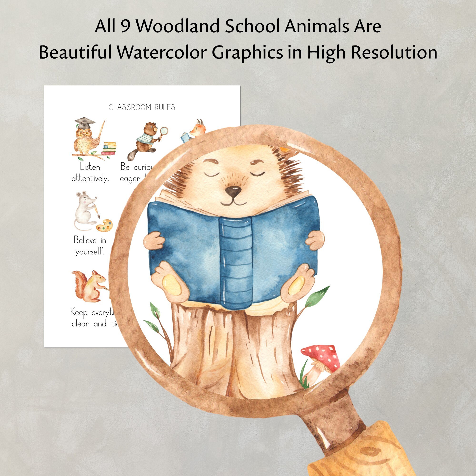 Elementary Classroom Rules Expectations Wall Art Poster, Woodland ...