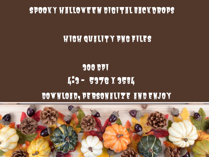 24 Halloween Digital Backdrop Bundle Spooky Pumpkin Background Scary ...