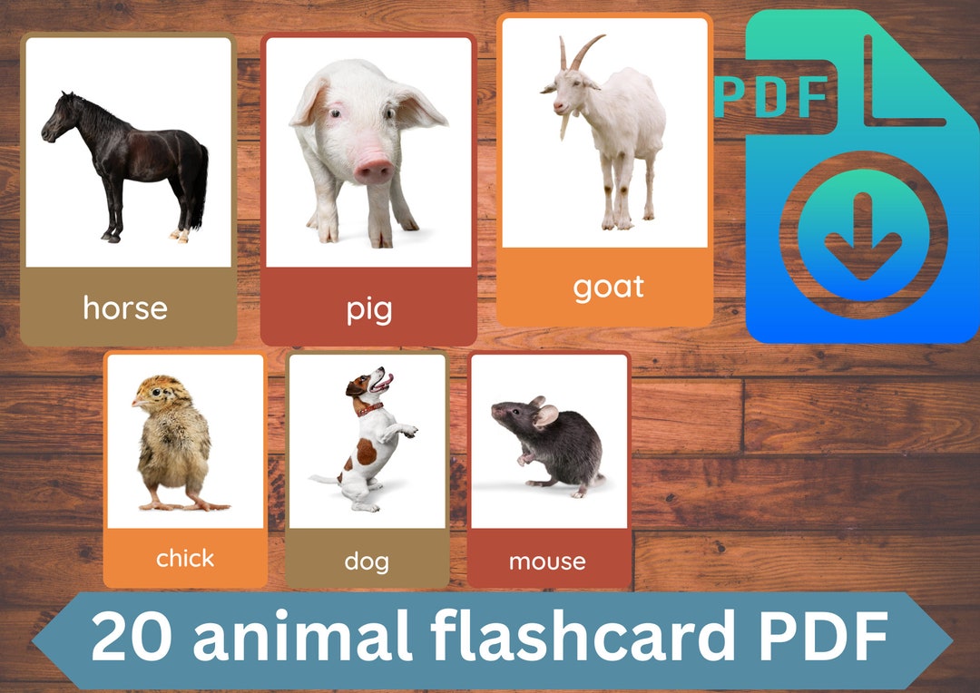 Wildlife Adventure Flashcards Montessori Learning Materials - Etsy