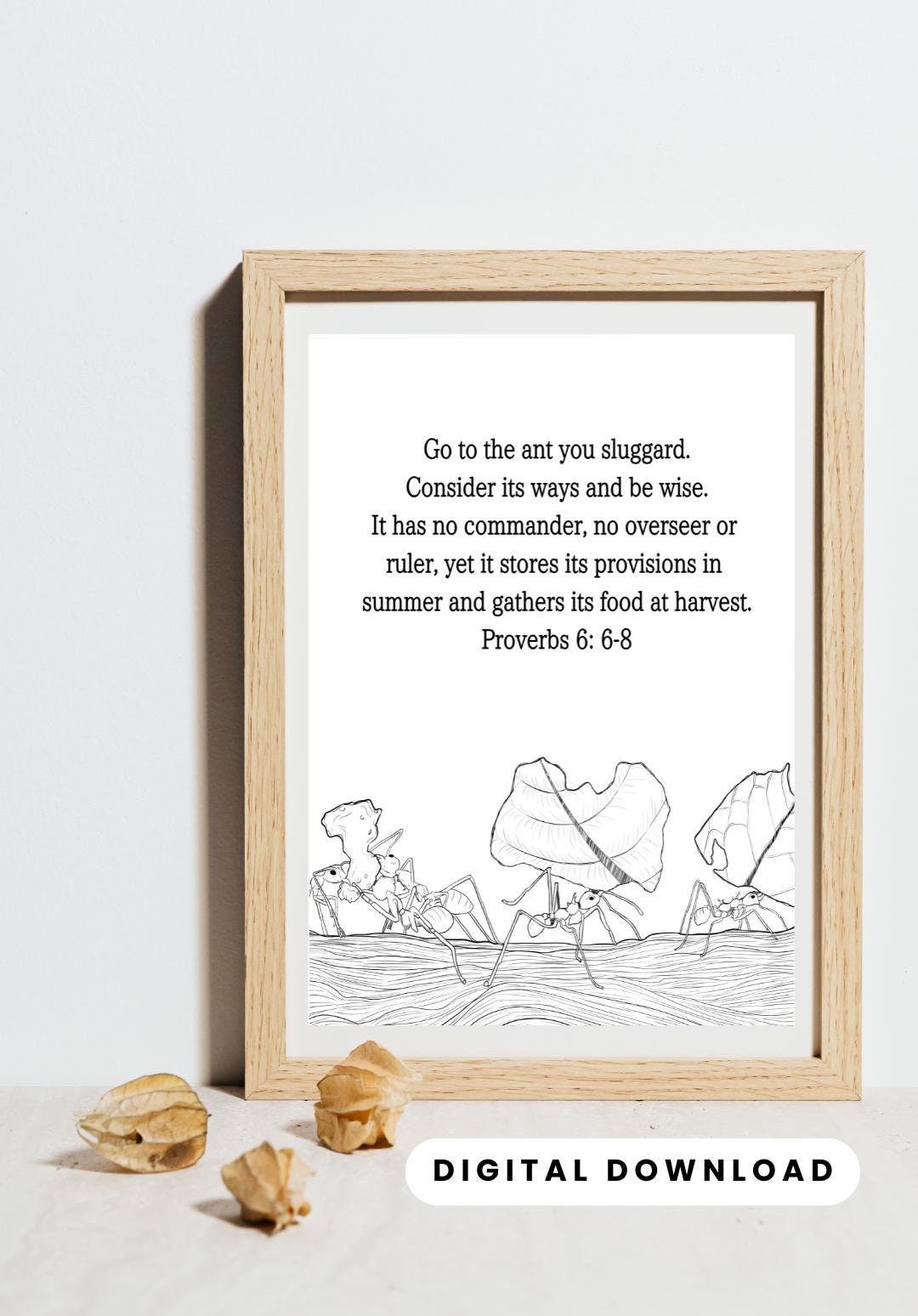 Ants and Sluggards, Proverbs, Bible Verses, Biblical, Wall Art, Home ...