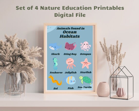 4 Printable Nature Habitat Educational Posters With Wording for ...
