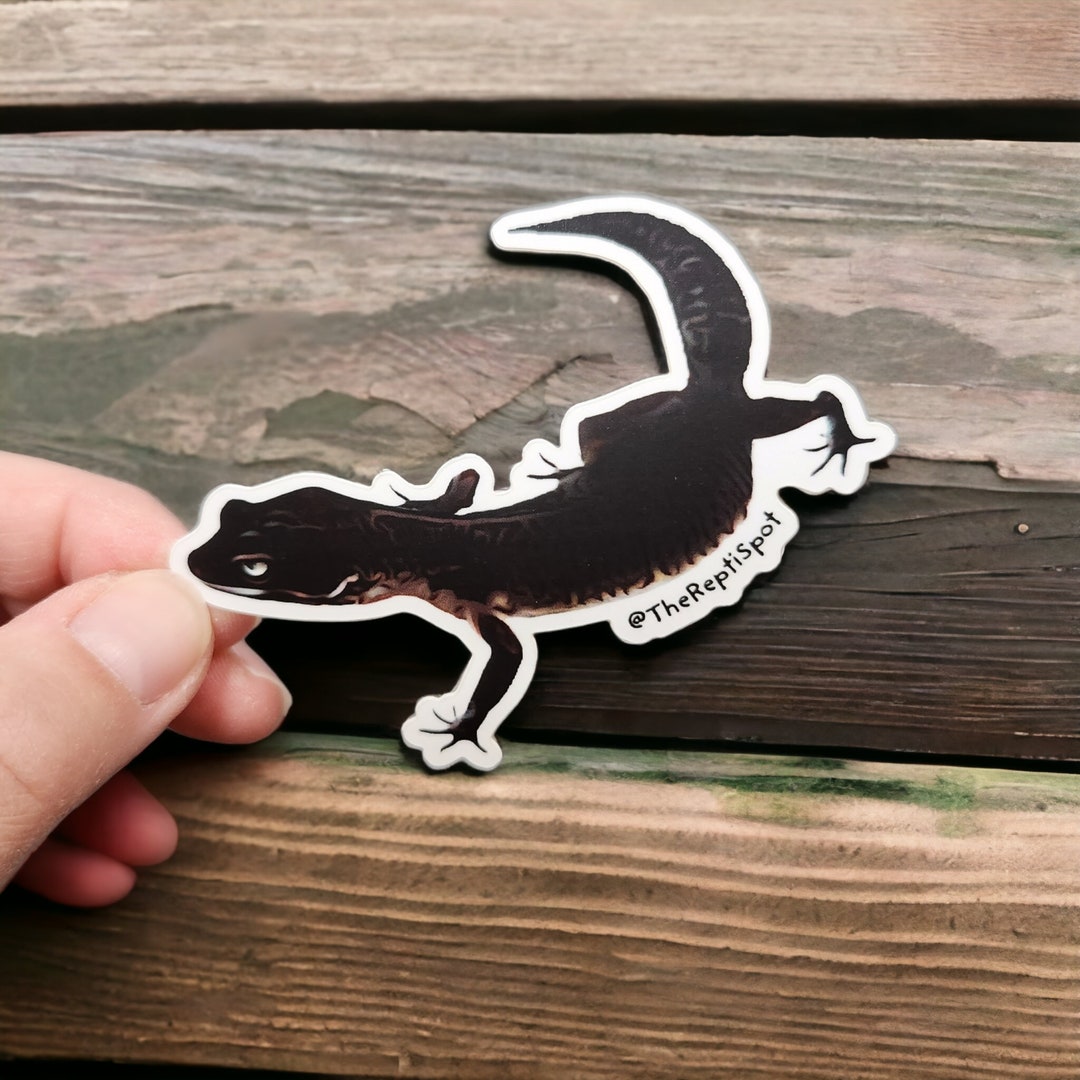 3x3 Reptile Decal Stickers - Etsy