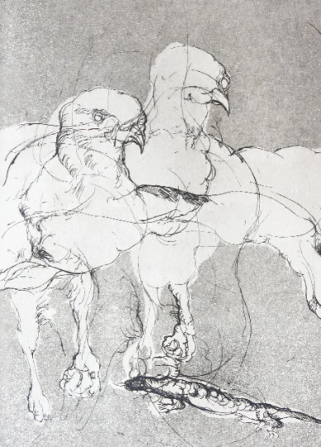 Hawk With Lizard, Intaglio Engraving Performed With the Etching and ...