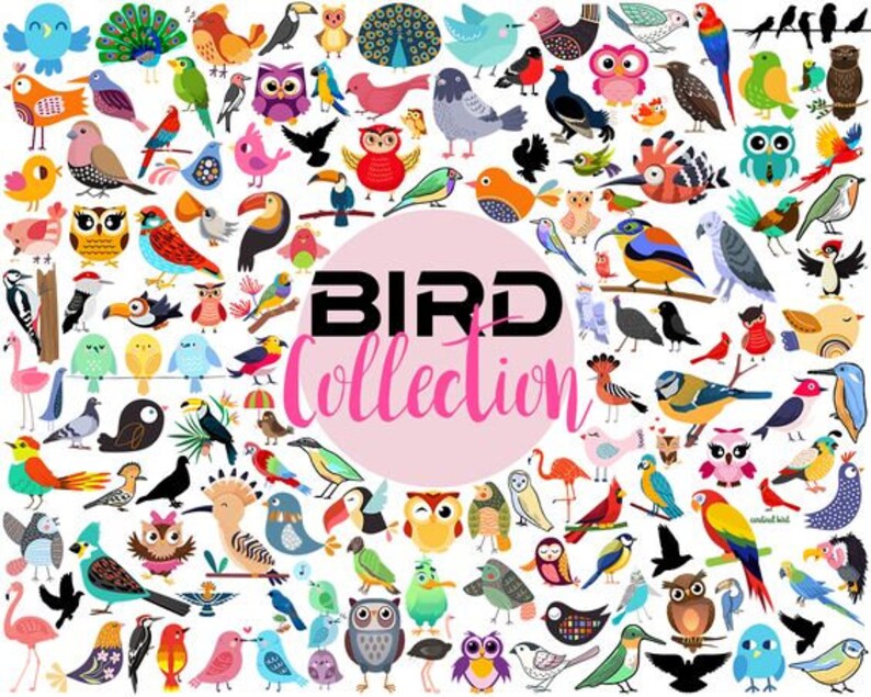 Brid Collection, Birds Svg Bundle , Bird Silhouette Svg,birds Clipart ...