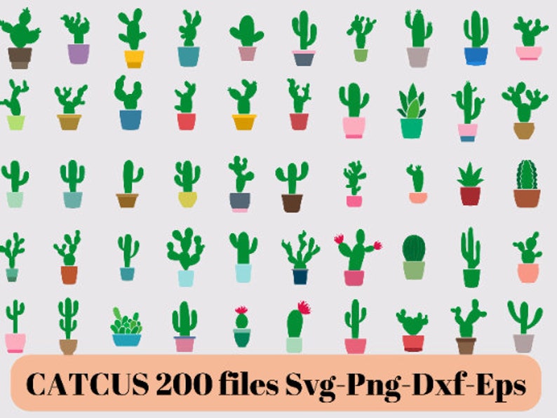 Cactus SVG Bundle, Succulent Cut Files for Cricut, Silhouette (PNG, Dxf ...