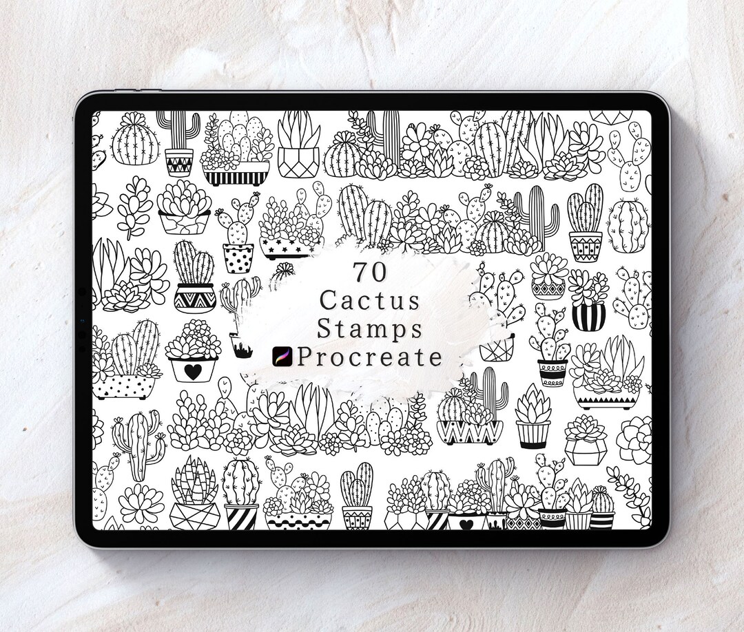 Procreate Cactus and Succulent Stamps, Doodle Cactus Brushes, Procreate ...