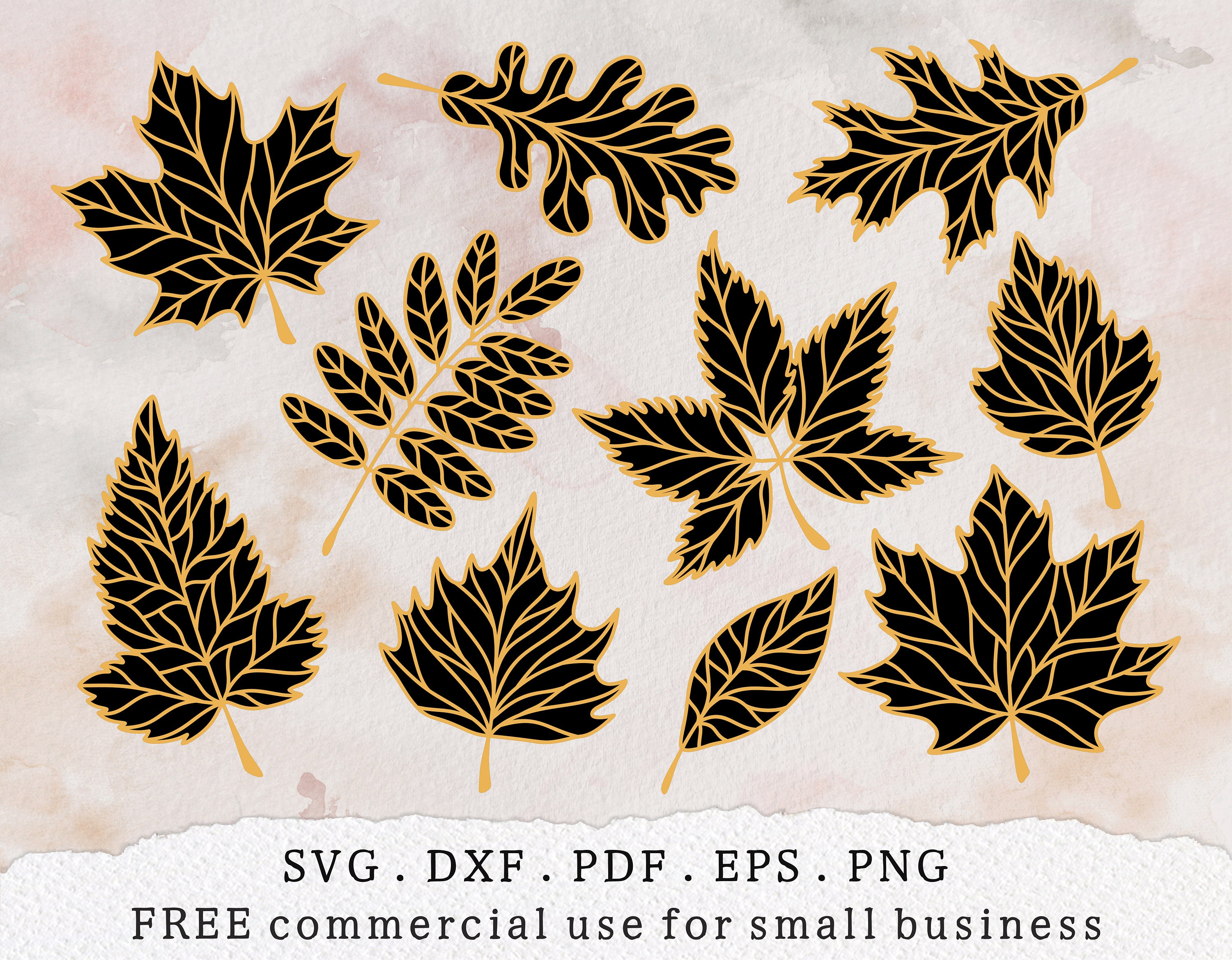 Fall Leaves Bundle Svg Maple Leaf Svg Autumn Leaves Outline - Etsy