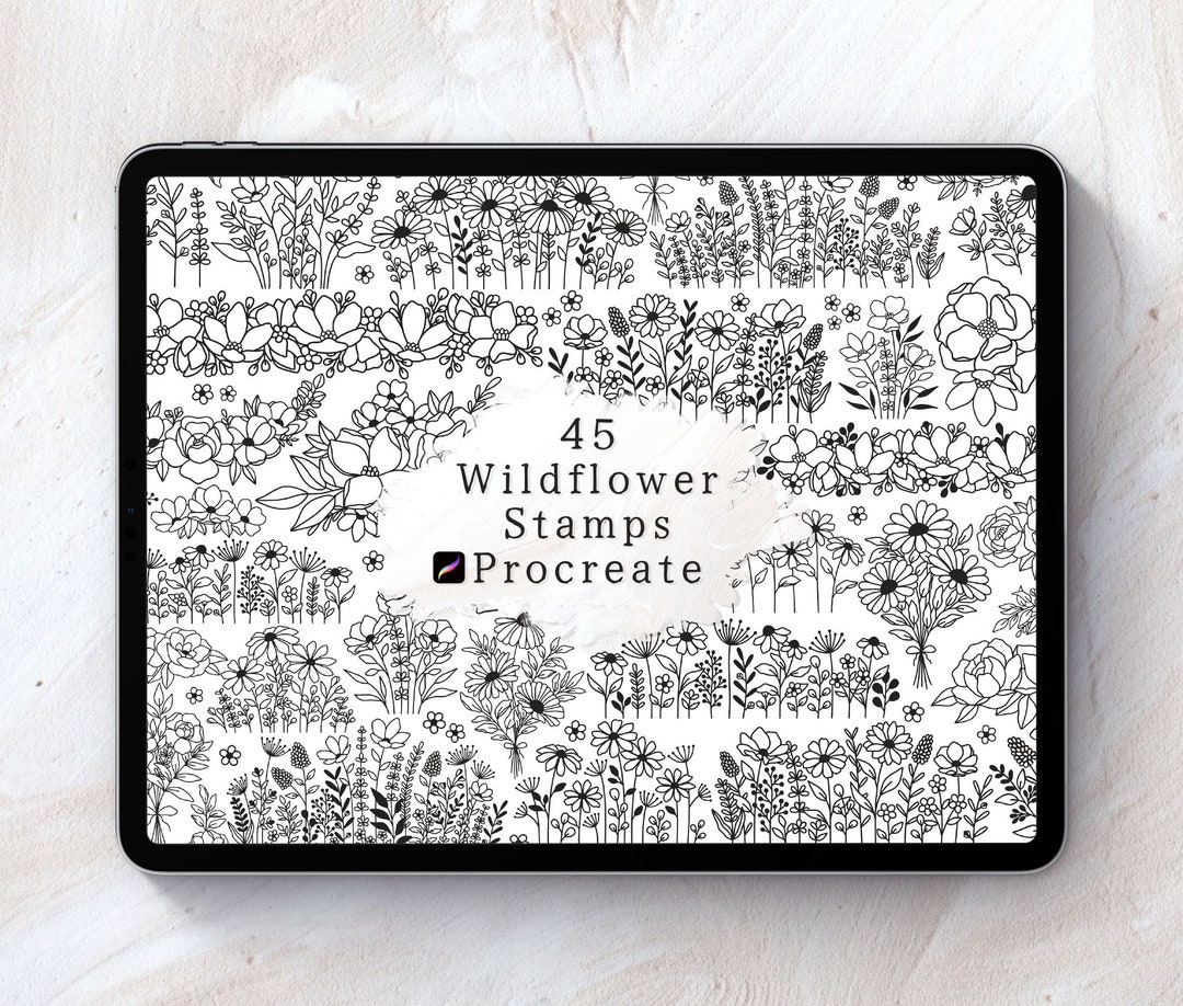 Procreate Wildflower Stamps, Line Art Flower Stamps, Procreate ...