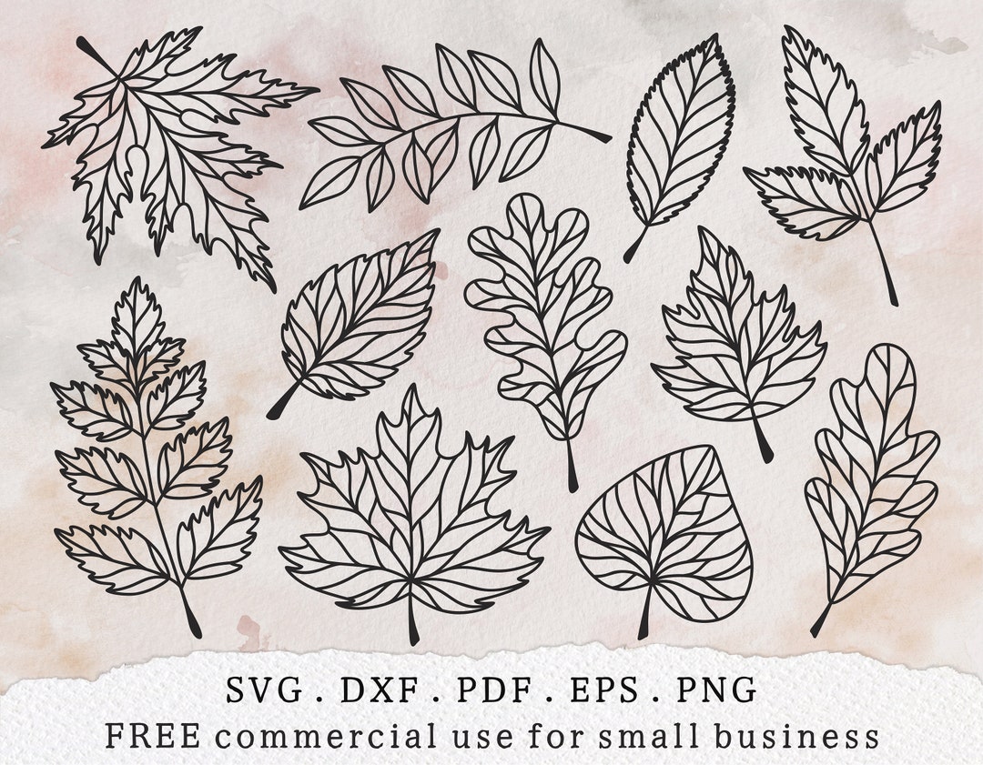 Fall Leaves Bundle Svg, Maple Leaf Svg, Autumn Leaves Outline Svg ...