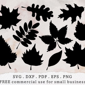 Fall Leaves Bundle Svg, Maple Leaf Svg, Autumn Leaves Outline Svg ...