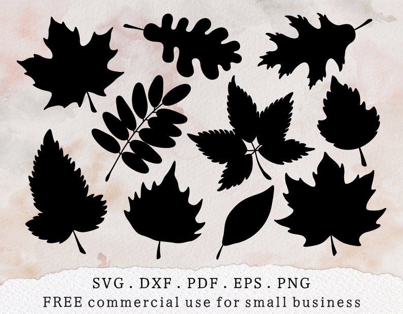 Fall Leaves Bundle Svg Maple Leaf Svg Autumn Leaves Outline - Etsy