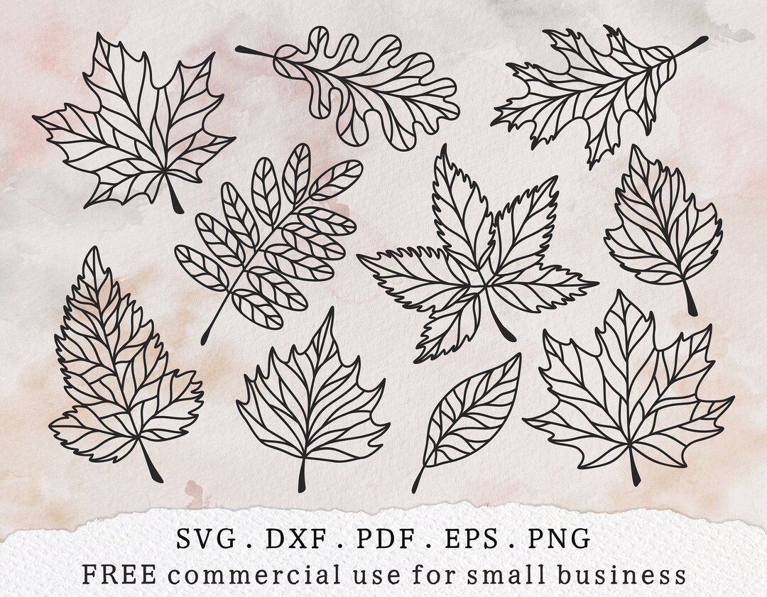 Fall Leaves Bundle Svg, Maple Leaf Svg, Autumn Leaves Outline Svg ...