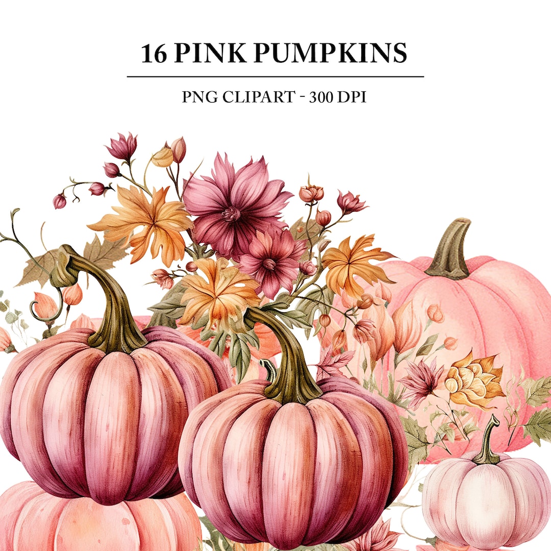 Autumn Pink Pumpkin Watercolor Clipart Fall Floral Pumpkin - Etsy