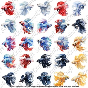 Betta Fish Watercolor Digital Clipart Instant Download Bundle ...