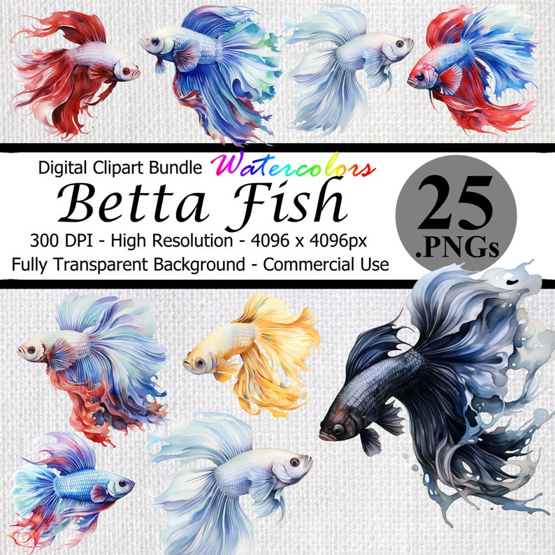 Betta Fish Watercolor Digital Clipart Instant Download Bundle ...