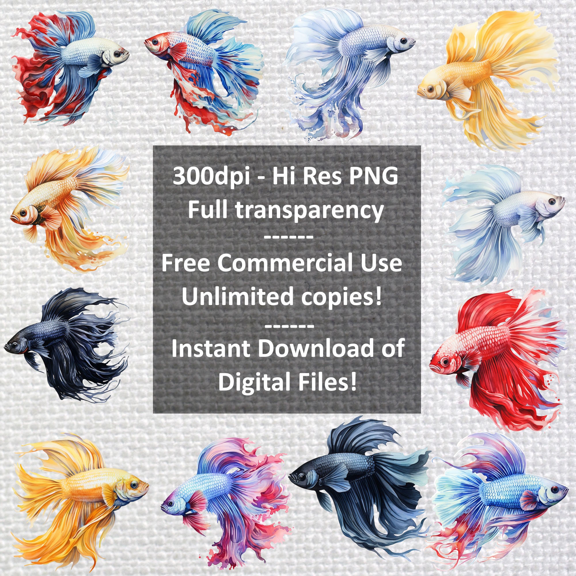 Betta Fish Watercolor Digital Clipart Instant Download Bundle ...
