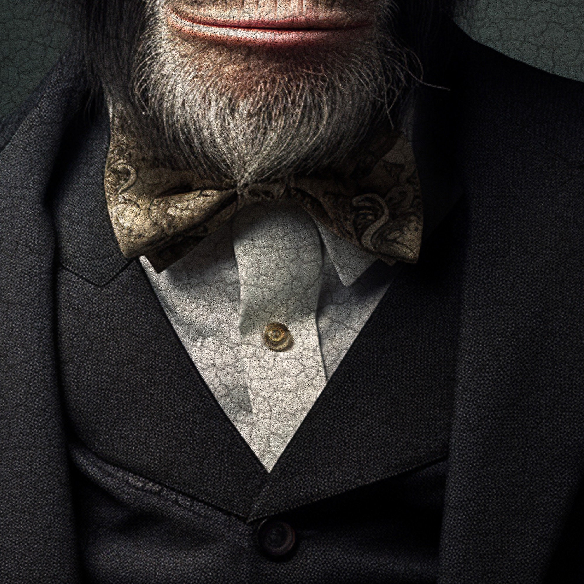 Vintage Chimpanzee Gangster Portrait, Monkey in Tuxedo, Animal Head ...