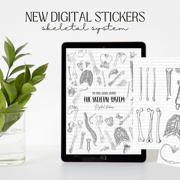 Skeletal System Stickers - Etsy