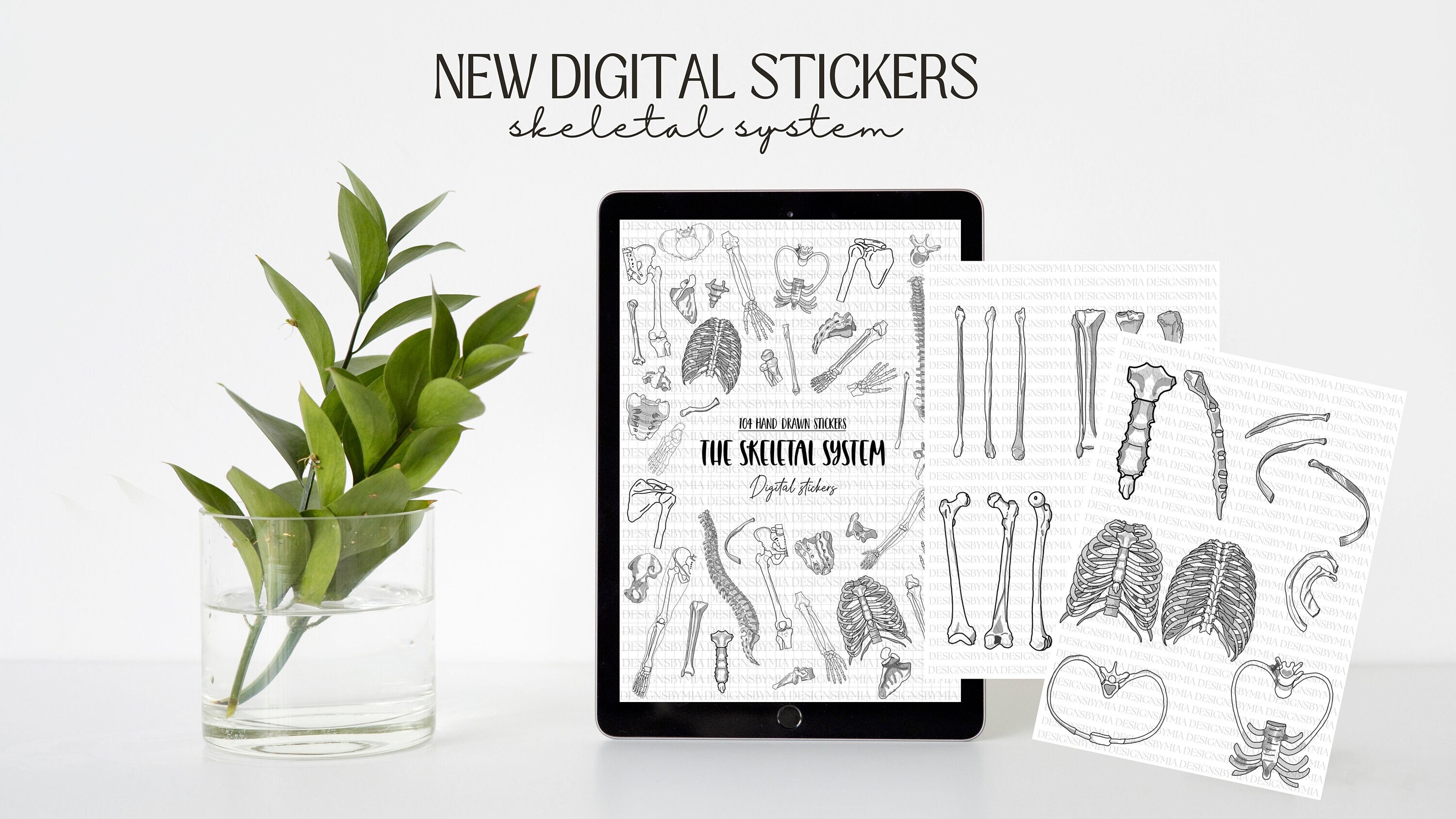 104 Anatomy Digital Stickers | the Skeletal System | Hand-drawn iPad ...