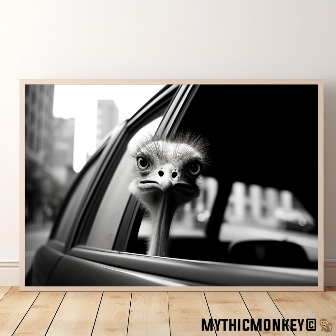 Ostrich Riding in a Car in New York City, Human Zoo, Funny Animal ...