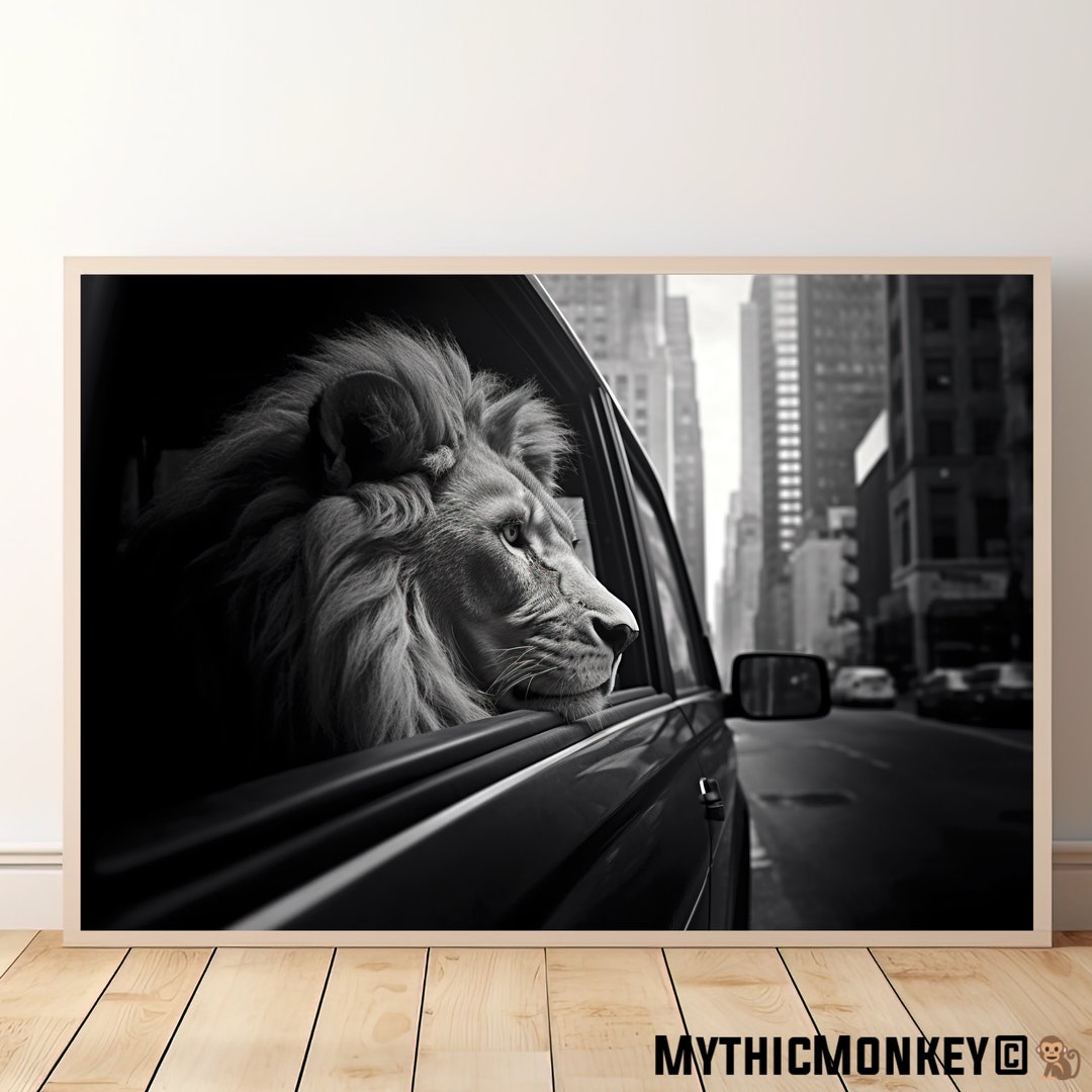 Lion Riding in a Car in New York City, Human Zoo, Funny Animal Vintage ...