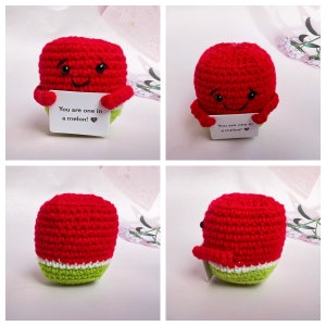 Crochet Watermelon-positive Melon/you Are One in a Melon-handmade ...