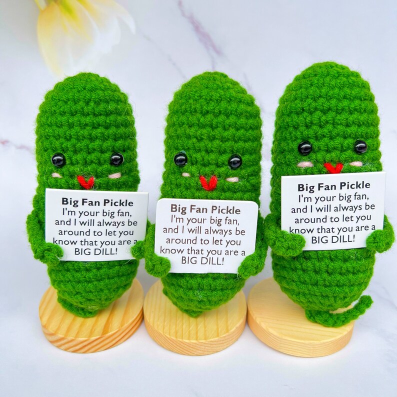 Bulk Sales Crochet Pickle Gift: Positive Affirmation Amigurumi ...