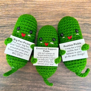 Handmade Crochet Pickles With Worm&encouraging Quotes-positive Pickle ...