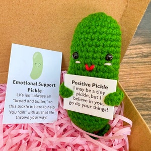 Handmade Crochet Pickles With Worm&encouraging Quotes-positive Pickle ...