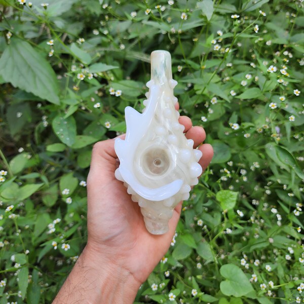 Seashell Pipe - Etsy