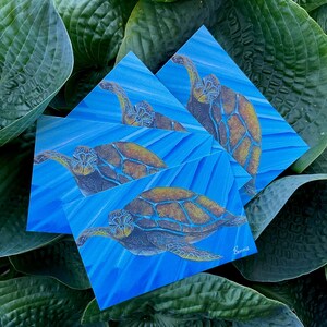 Sea Turtle Postcard 4-pack - Etsy