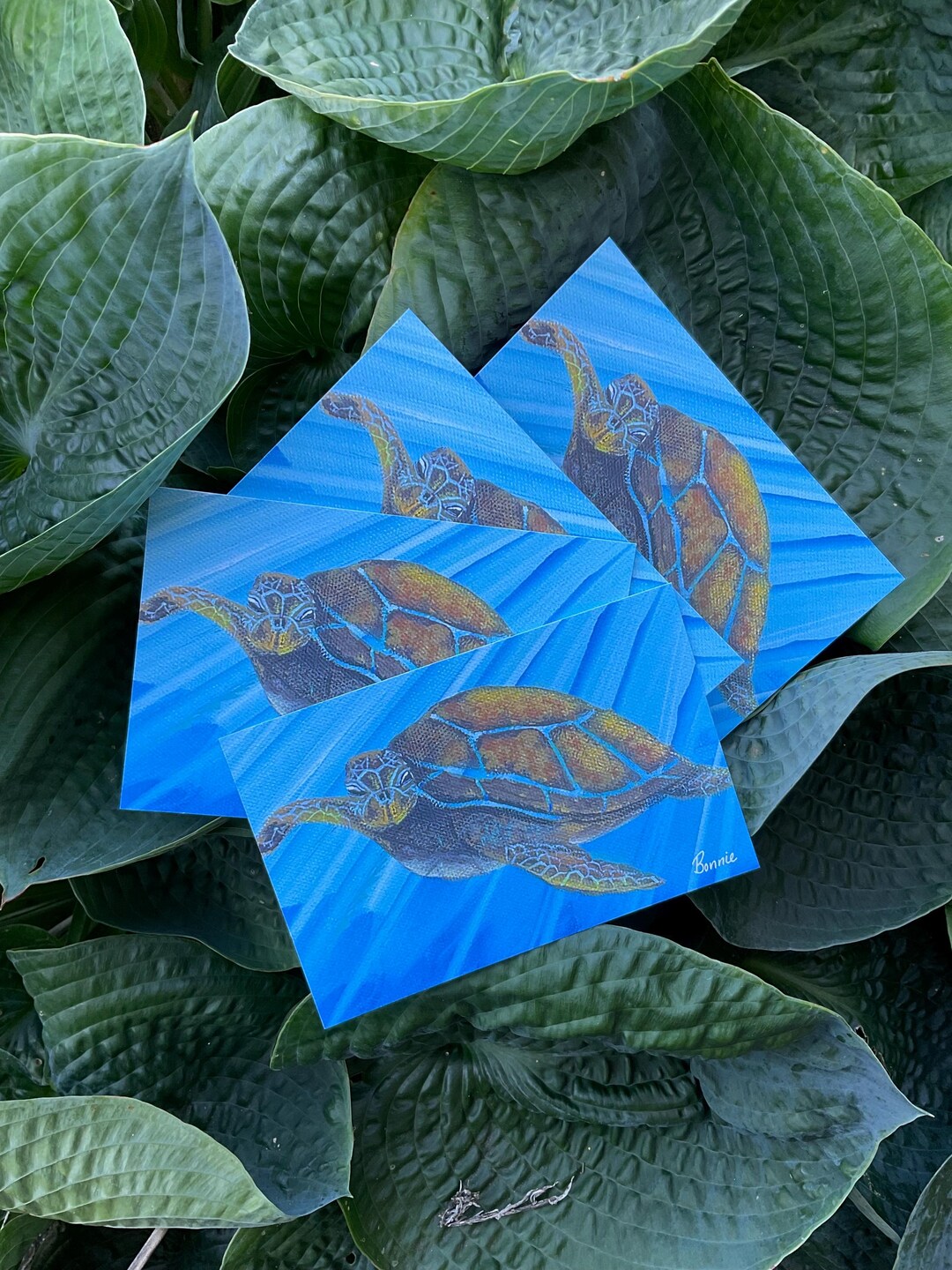 Sea Turtle Postcard 4-pack - Etsy