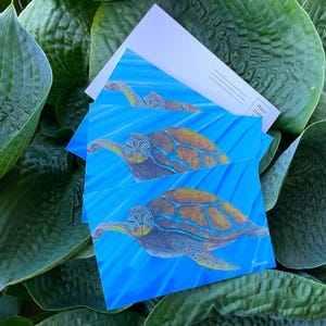 Sea Turtle Postcard 4-pack - Etsy