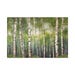 Birch Trees Wrap-around Canvas Wall Art - Etsy
