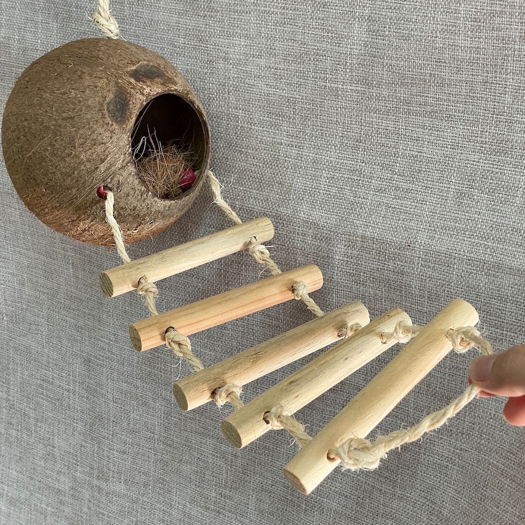 Natural Coconut Shell Nest With Ladder and Ramp for Parrot Budgies ...