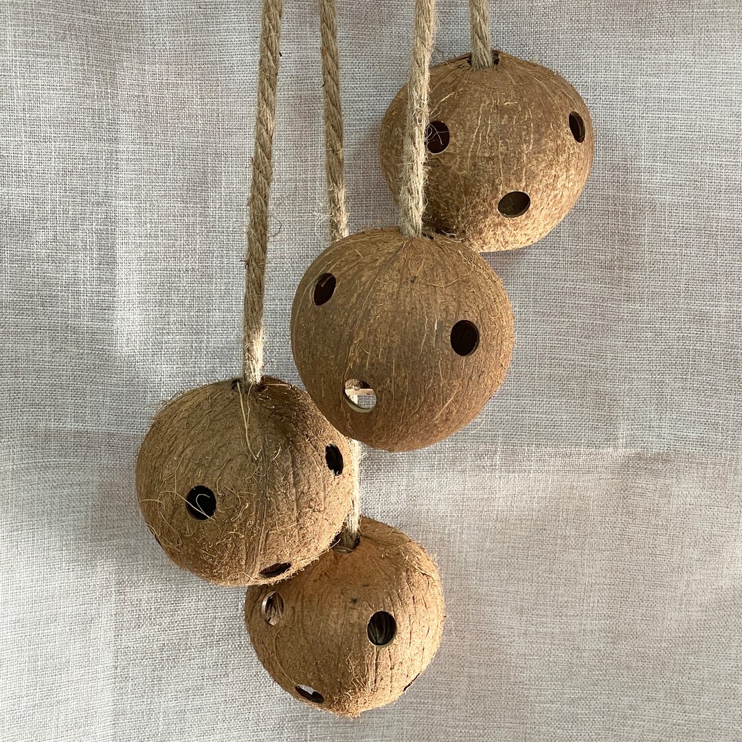 Natural Parrot Hanging Coconut Toy / Coconut Shell Decoration / Parrot ...