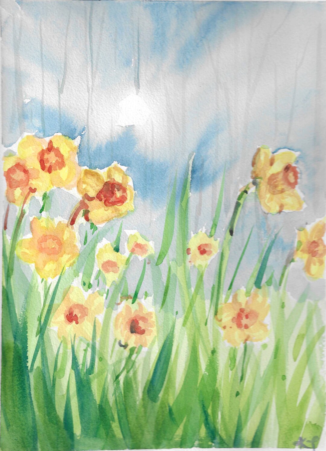 Dancing Daffodils - Sun-kissed Field - Etsy