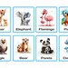 Animal Printable Flash Cards - High Quality Designed Animals - Etsy
