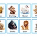 Animal Printable Flash Cards - High Quality Designed Animals - Etsy